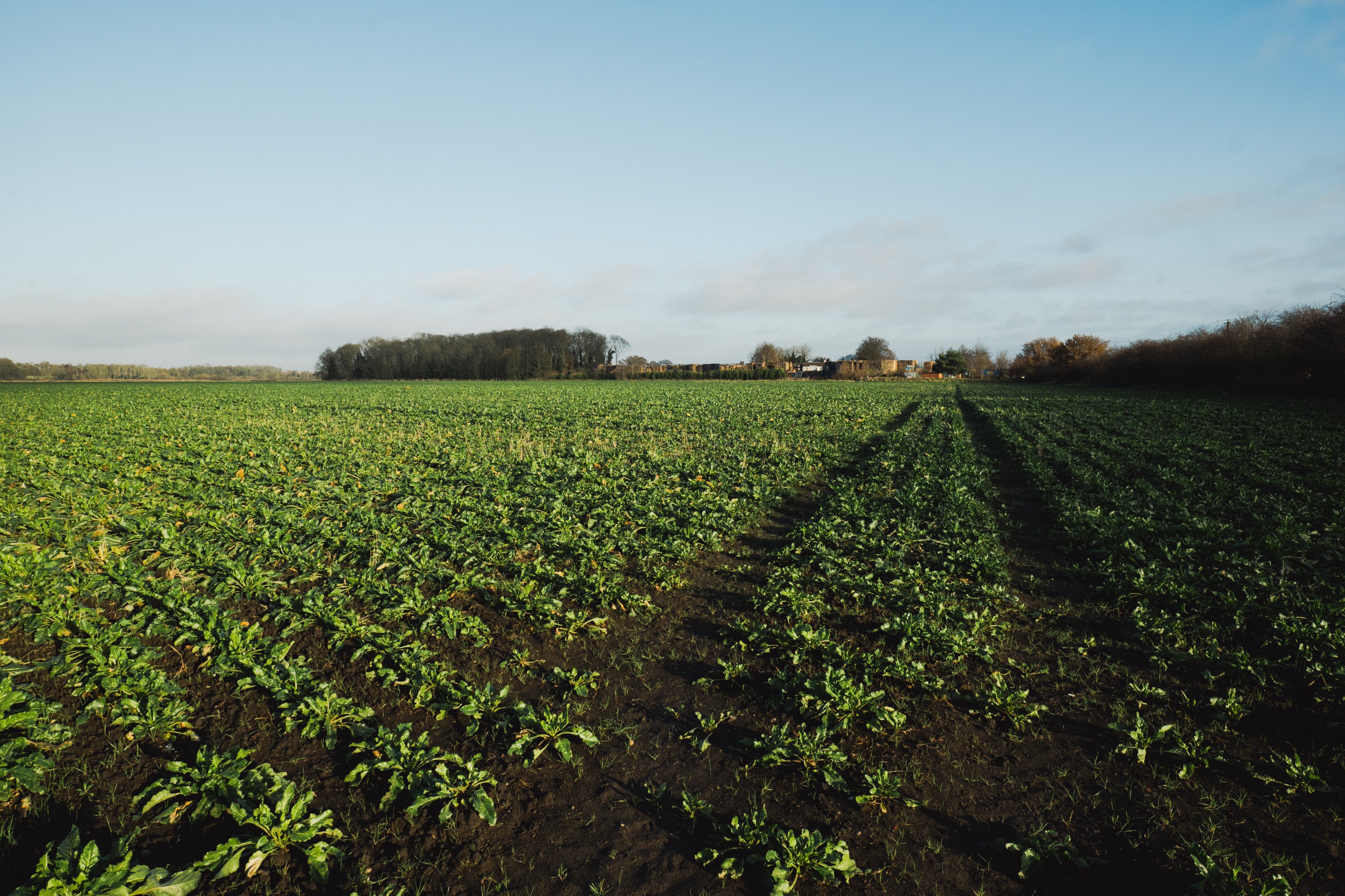 Contact us | Get in touch with Junction 4 Pallets experts today